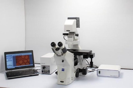 Zeiss AXIO Observer.Z1 Inverted Fluorescence Motorized Microscope Unit2 ...