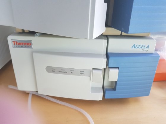 Thermo Scientific LTQ ORBITRAP XL Hybrid Ion Trap-Orbitrap Mass ...