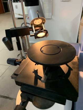 Projectina UCM , Comparison macroscope for forensic examinations in ...