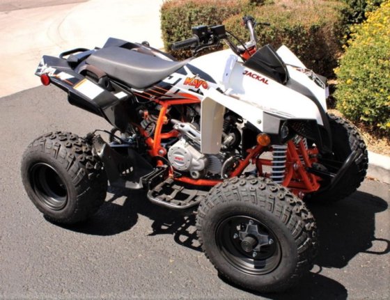 2022 Kayo 200 Jackal Utility in Las Vegas, NV, USA