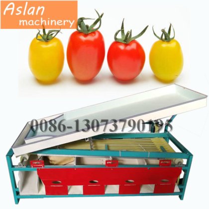 small size fruits nuts grading machine / cherry tomato sizer machine ...