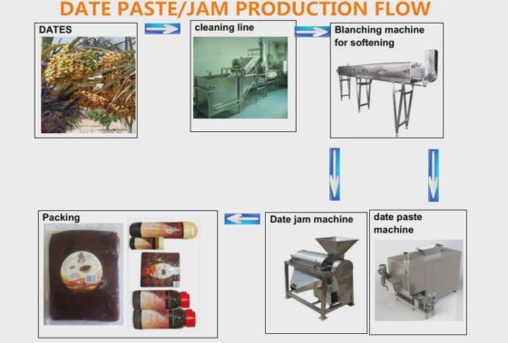 2024 Palm dates processing line in Shanghai, China