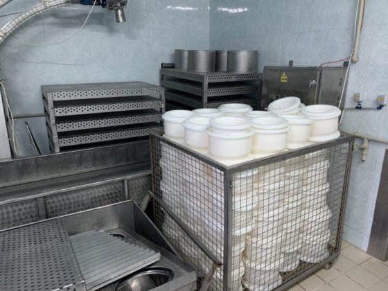 Equipment of a Complete Cheese Production Plant, Capacity 3.000 kg/d in ...