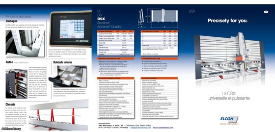 EL-DSX - VERTICAL PANEL SAWS - ELCON - DSX SERIES in Chihuahua, Mexico