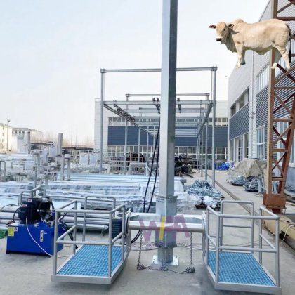 Automatic High Efficiency Cow Killing Butchering Machine Hide Puller ...