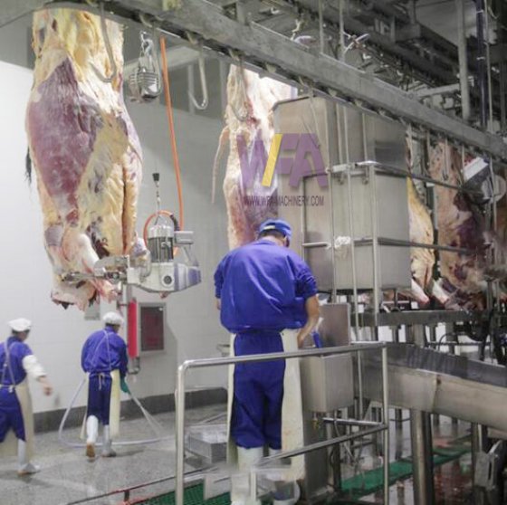 Efficient Slaughter Bovine Cattle Chest Open Saw For Cattle ...