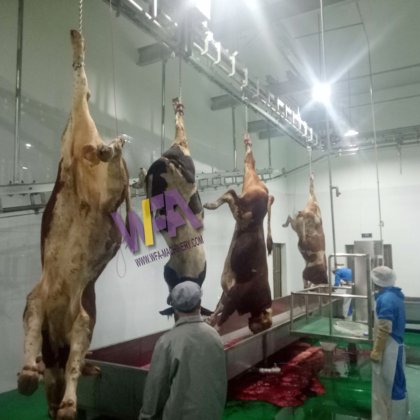 WFA Factory Customized New Design Halal Cattle Slaughterhouse Bleeding ...