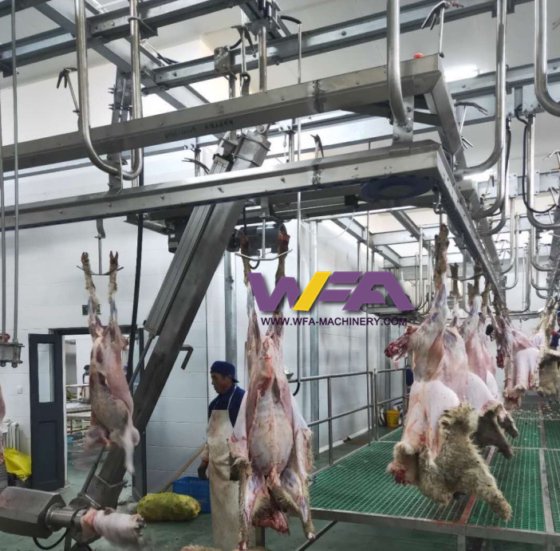 WFA Sheep Slaughterhouse Bleeding Convey Rail Goat Slaughter Machine ... WFA Sheep Slaughterhouse Bleeding Convey Rail Goat Slaughter Machine ...