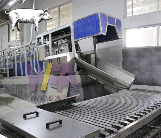 Professional Pork Automatic Electric Stunner Conveyor for Complete Pig ...