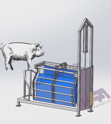 Complete Butcher Shop Pig Slaughterhouse Equipment Abattoir Hog ...
