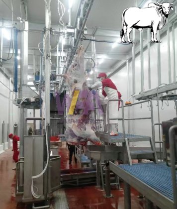 Customized Complete Beef Slaughterhouse Line Cow Cattle Abattoir Meat ...