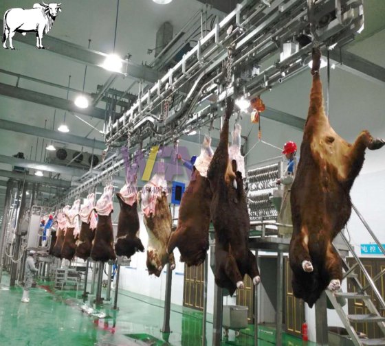 Customized Complete Beef Slaughterhouse Line Cow Cattle Abattoir Meat ...