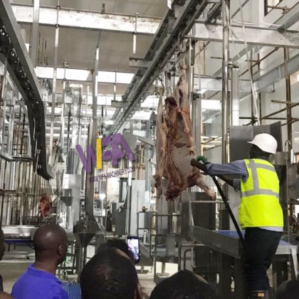 Turnkey Project Complete Cattle Slaughter House 10 Cattle Hour Halal ...