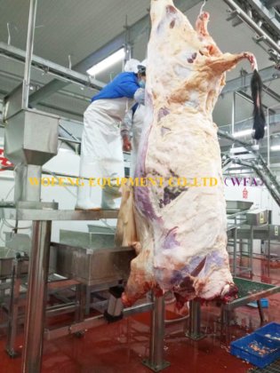 Turnkey Project Complete Cattle Slaughter House 10 Cattle Hour Halal ...