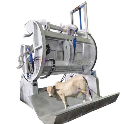 Amazing Humane Butchering Cattle Abattoir Ritual Rotary Slaughtering ...