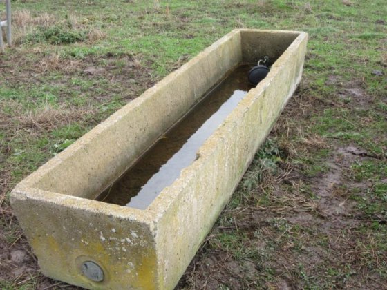 Concrete water trough in Gordon, Australia