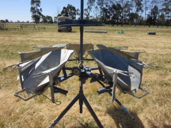 Quick Trip Lamb Marking Cradle in Yielima, Australia