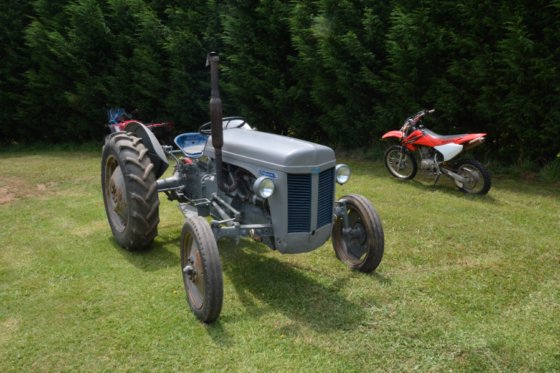 Massey Ferguson TEA20 in Berrima, Australia