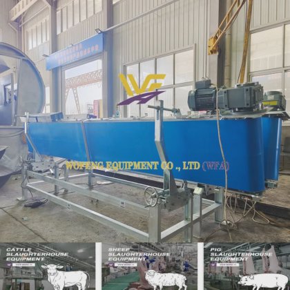 V-Express Sheep Handler Conveyor Systems Primary Processing for Goat ...