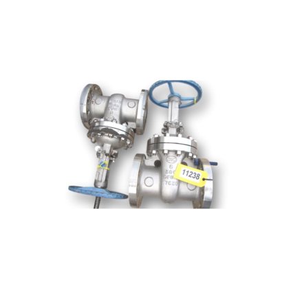 Oic Newman 6" Gate Valve - Stainless Steel Figure Number S301-g in ...