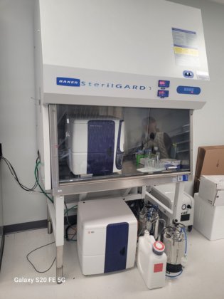 BD Biosciences FACSMelody Cell Sorter System in Frederick, MD, USA