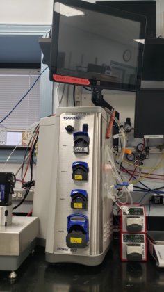 Eppendorf BioFlo 320 Bioprocess Control System in Frederick, MD, USA