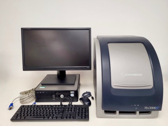 Stratagene MX3000P Multiplex Quantitative RT- PCR System Lab in ...