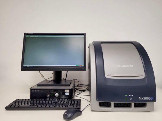 Stratagene MX3000P Multiplex Quantitative RT- PCR System Lab in ...