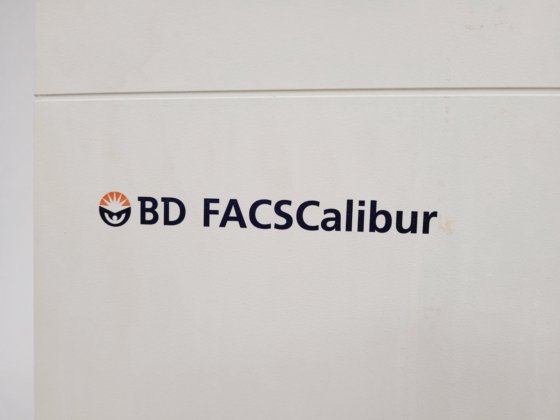 BD FACSCalibur System Flow Cytometer Cell Sorter System Lab in ...