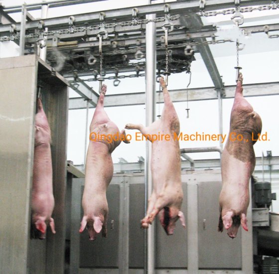Automatic Convey Rail Pig Slaughtering Machine for Carcass Complete ...