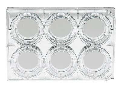 Corning Transwell Permeable Supports 15341 in Québec City, Quebec, Canada