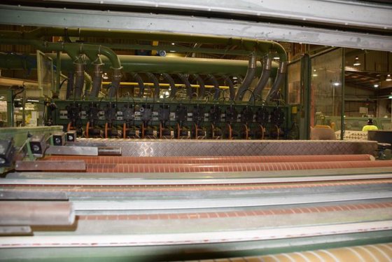 ECH WILL CUT SIZE LINE in Europe