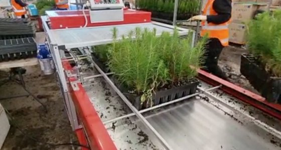DaRos Fully Automatic Plug Popper in Kaiwaka, Northland, New Zealand
