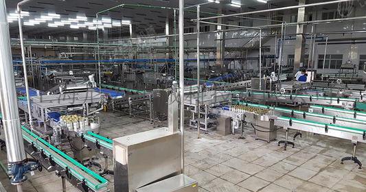 2019 Small Pickled cucumber process machine / processing line in Shanghai, China