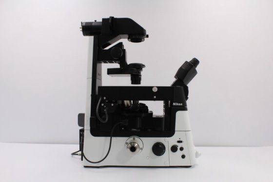 Fluorescence Imaging