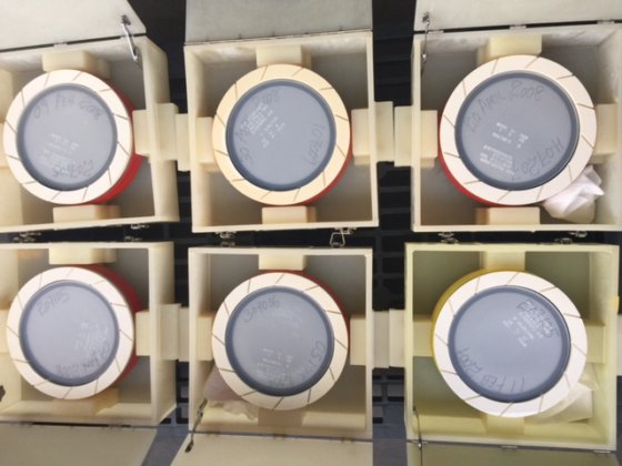 AMAT Titan Profiler polishing head 0010-24500 in Trim, Ireland