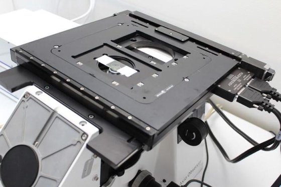 Zeiss AXIO Observer 7 Inverted LED Fluorescence Microscope Imaging ...