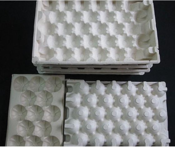 Automatic Molded pulp making machine in United States