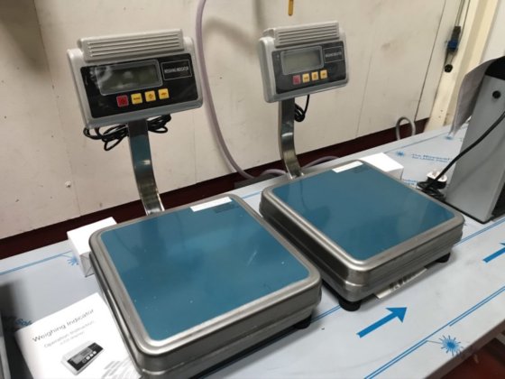 Weighing Indicator Scale in Bury St Edmunds, England, United Kingdom
