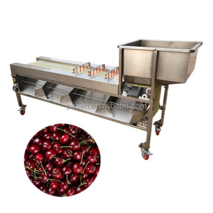 Automatic Red date sorting machine dates grading machine Mango fruit ...