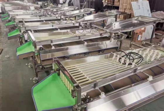 Olive sorting machine walnut sorting machine dates sorting machine in ... Olive sorting machine walnut sorting machine dates sorting machine in ...