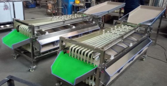 Olive sorting machine walnut sorting machine dates sorting machine in ... Olive sorting machine walnut sorting machine dates sorting machine in ...