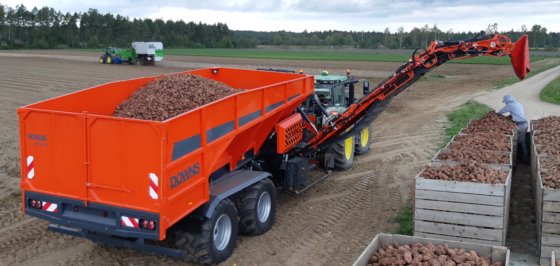 Potato crop cart GEO DTX-18 in Sainte-Marie-Cappel, France