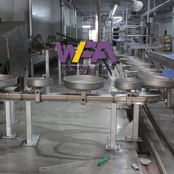 Complete Modern Pig Abattoir Slaughtering Equipment White & red Offal ...