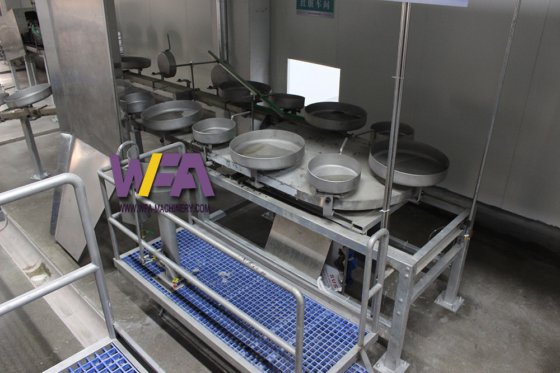 Complete Modern Pig Abattoir Slaughtering Equipment White & red Offal ...