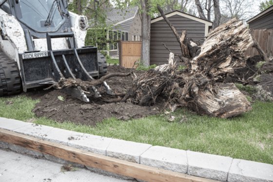 Prime Rock Ripper in Nashville, TN, USA