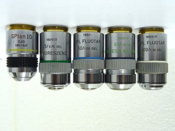 Leitz Fluorescence and transmitted light microscope in Zevenhuizen ...