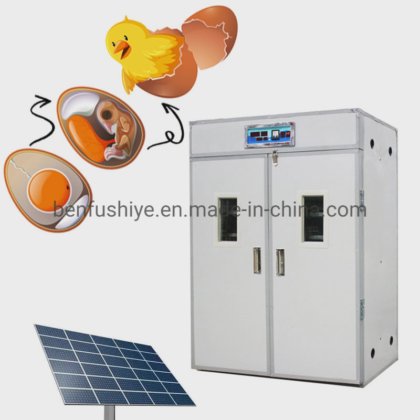 Fully Automatic Intelligent Incubator Agricultural Egg Constant ...