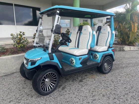 2025 Evolution Electric Vehicles D-Max GT4 in Land O' Lakes, FL, USA
