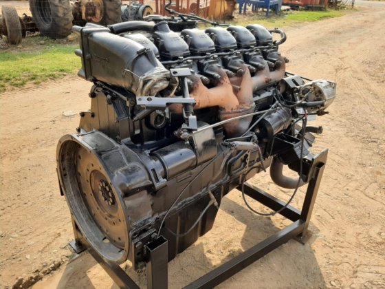 ADE. 407. in Memel, South Africa